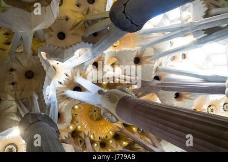 Elaborate and decorative tree like columns and spiral staircase in ...