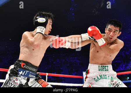 (L-R) Ganigan Lopez (MEX), Ken Shiro (JPN), MAY 20, 2017 - Boxing : Ken ...