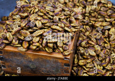 Beondegi, boiled silkworm pupae and larvae chrysalis snack South Korea ...