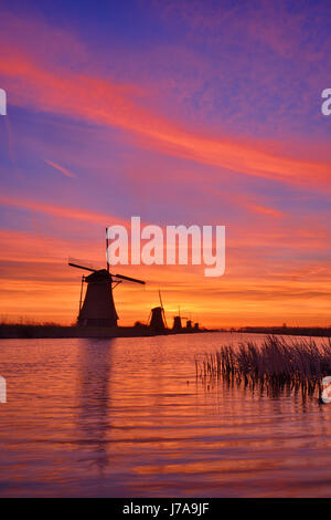 A vertical of reflection of a windmill at Kinderdijk, UNESCO heritage ...