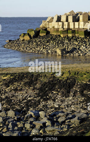 coast, shoreline stabilization, fortification, coast protection, bank ...