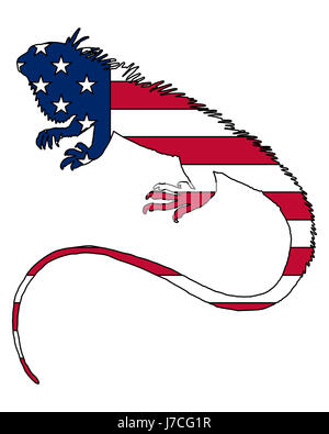 usa america iguana flag north america states united sign signal blue ...