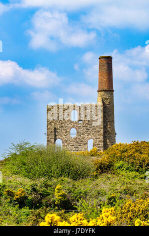 Cook's Kitchen Mine near Pool, Cornwall, UK. The pumping house is to ...