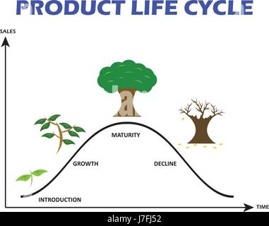 Product Life Cycle Diagram For Business & Education As Colorful Sticky ...