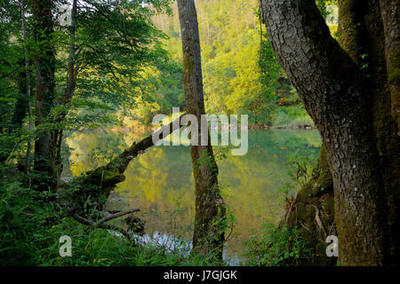 Remote Kolpa/Kupa river valley between Croatia and Slovenia Stock Photo ...