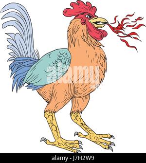 Drawing sketch style illustration of a chicken rooster head viewed from ...