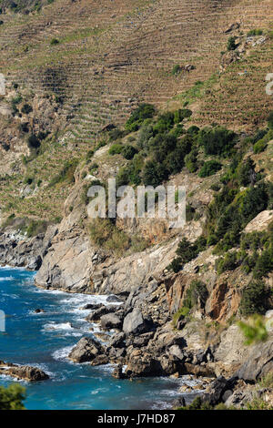 Vertical shot of a shore covered in rocks surrounded by the sea under ...