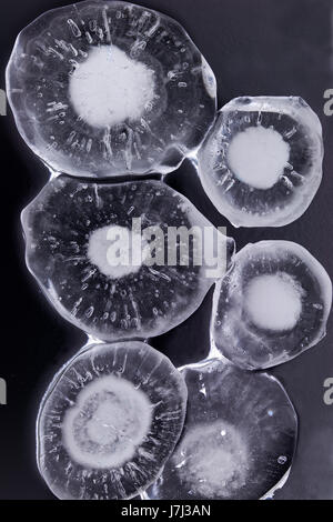 Cross Section of Hailstones from Severe Summer Storm – Showing Internal ...