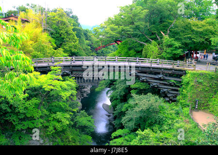 Otsuki, Japan at Saruhashi Monkey Bridge Stock Photo: 112598314 - Alamy