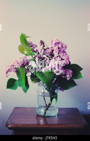 purple flower in jar Stock Photo - Alamy