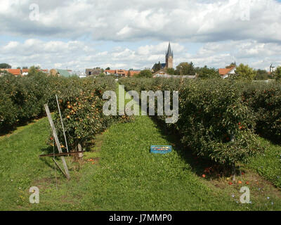 The image captures an orchard (Obstgarten) in Reilingen, Germany, taken ...