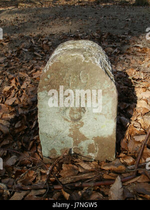The Grenzstein Hoher Stein refers to a boundary stone or marker ...