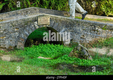 France, Cote d'Or, Source-Seine, site with sources of the Seine, cave ...