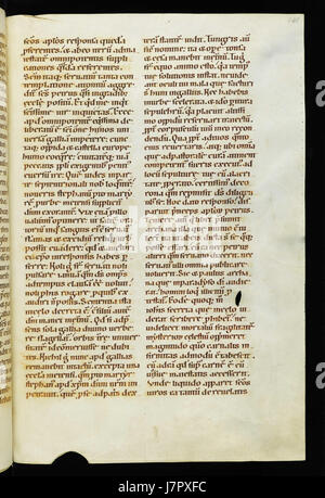 The Codex Bodmer 127, dating back to the 3rd century, is a significant ...