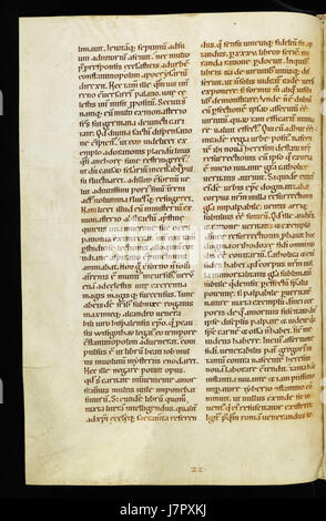 The Codex Bodmer 127 is an ancient manuscript, and the 228r detail ...