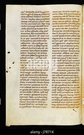 A page from Codex Bodmer 127, a significant manuscript containing early ...