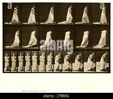 'Animal Locomotion' is a series of photographic studies by Eadweard ...