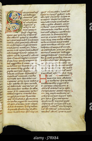 Codex Bodmer 127 208r is a manuscript from the Bodmer Library, known ...