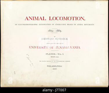 This work focuses on the science of animal locomotion, showcasing how ...