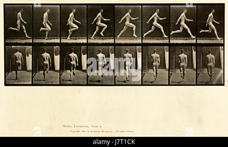 This plate from *Animal Locomotion* by Eadweard Muybridge features a ...