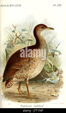 St Helena Island in the South Atlantic. Lot's Wife rock formation on ...