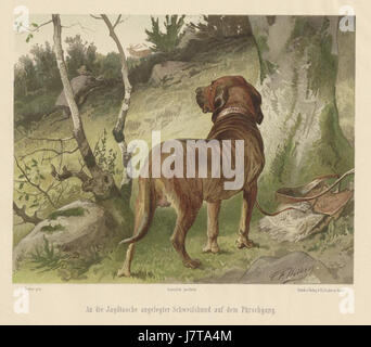 *Deiker Jagdbare Tiere* (Deiker's Huntable Animals) is a publication ...