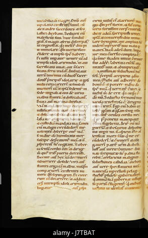 The Codex Bodmer 127 is a medieval manuscript, known for its importance ...