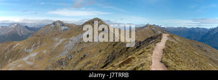 Hiking trail, Kepler Track, Great Walk, mountain landscape with grass ...
