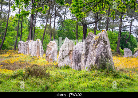 Some shots of Alignements de Kerlescan alignments standing stones ...