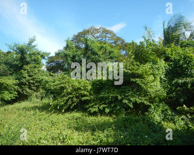 This image captures the Santa Maria Bulacan Bridge, located along the ...