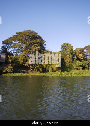 This image depicts the trees, riverbanks, and riprap constructions in ...