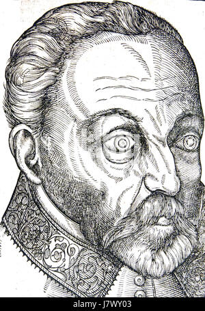 The 16th century illustration of surgery and surgical operations in the ...