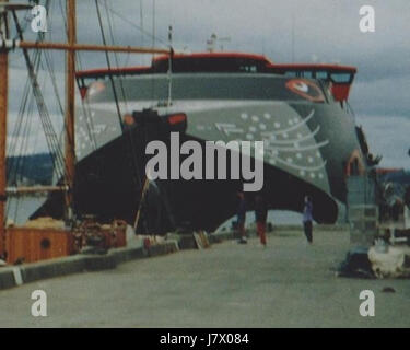 3 Devil Cat catamaran front view Stock Photo - Alamy