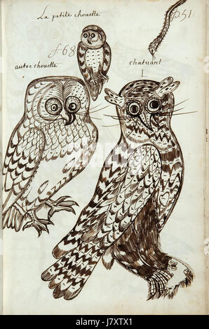 Codex canadensis, p. 51 Stock Photo - Alamy