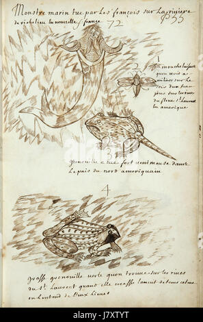 Codex canadensis, p. 55 Stock Photo - Alamy