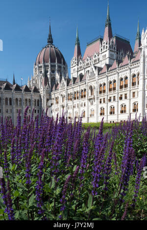 Windows of the parliament building, Budapest Stock Photo - Alamy