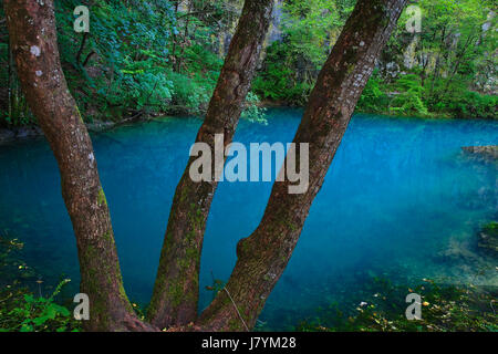 A spring of river Una in Croatia Stock Photo - Alamy