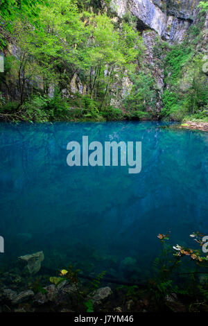 A spring of river Una in Croatia Stock Photo - Alamy