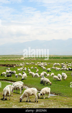 goat sight view outlook perspective vista panorama lookout goat sight ...