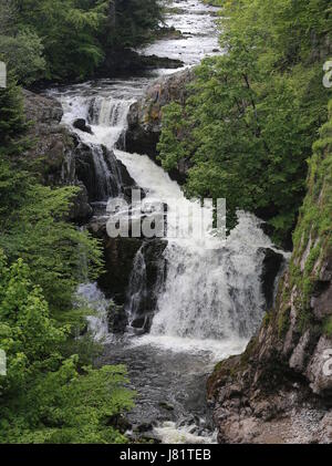 Reekie Linn waterfall Scotland May 2017 Stock Photo - Alamy