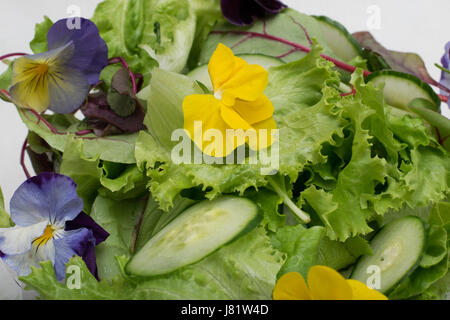 colourfull salad with flowers of viola tricolor Stock Photo - Alamy