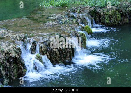 fluent waters plant stream grasses watercourse wet waterfalls scenery ...