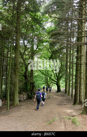 Woodland walks around the Callander Crags Stock Photo - Alamy