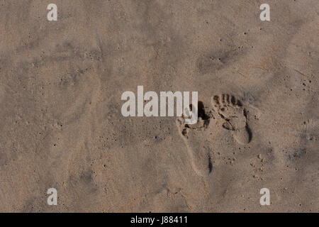 Children's footprints in sand close up Stock Photo - Alamy