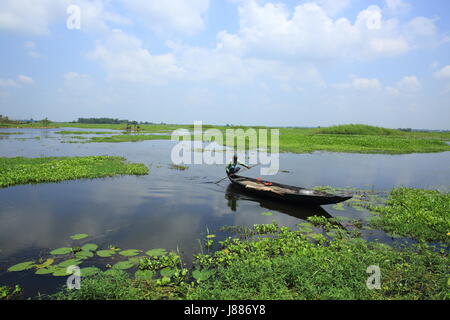 The Arial Beel (water body) of Munshiganj is famous for producing ...