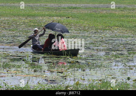 The Arial Beel (water body) of Munshiganj is famous for producing ...