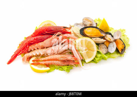 seafood, crabs, shrimps, crayfish, mussels, food, aliment, isolated ...