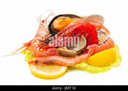 seafood, crabs, shrimps, crayfish, mussels, food, aliment, isolated ...