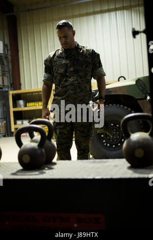 Colonel Adam L. Chalkley, the commanding officer of Combat Logistics ...