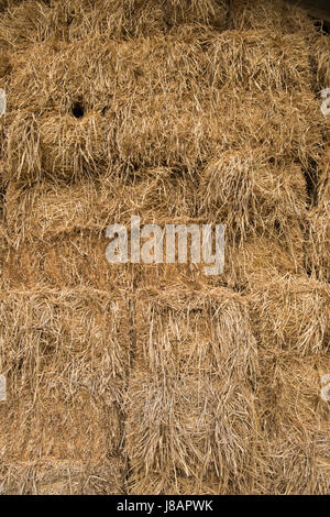 Hay background. Straw blocks. Heap of dry grass. Animal food. Hayloft ...